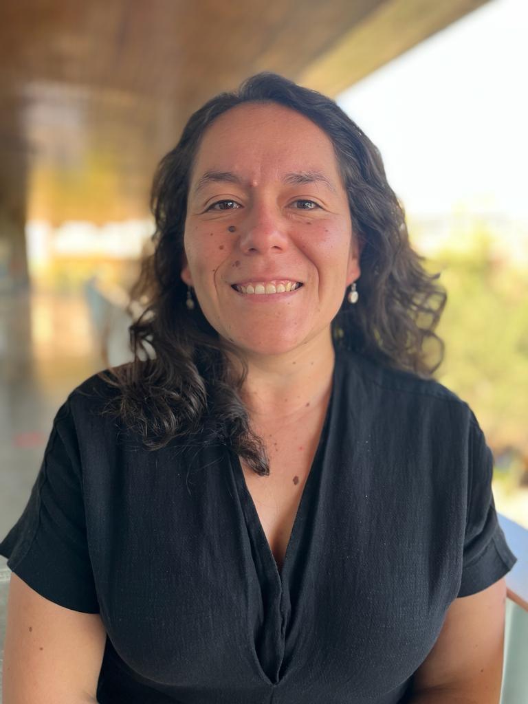 Ana María Castillo Hinojosa - Instituto de la Comunicación e Imagen ...